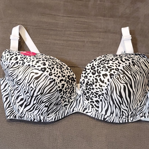 Queen | Intimates & Sleepwear | Zebra Print Plus Size Push Up Bra ...